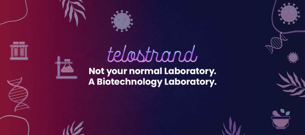 Homepage - Telostrand